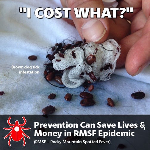 CDC Press Release: Prevention and early treatment of RMSF Rocky Mtn ...