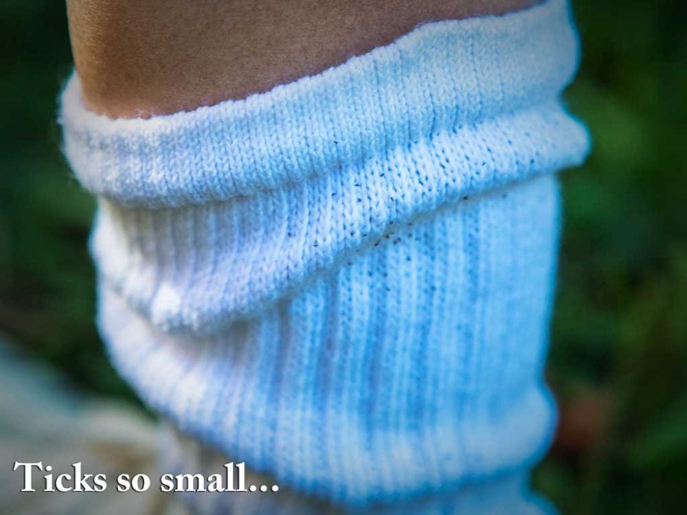 Ticks So Small… They Crawl Right Through Your Socks! – TickEncounter