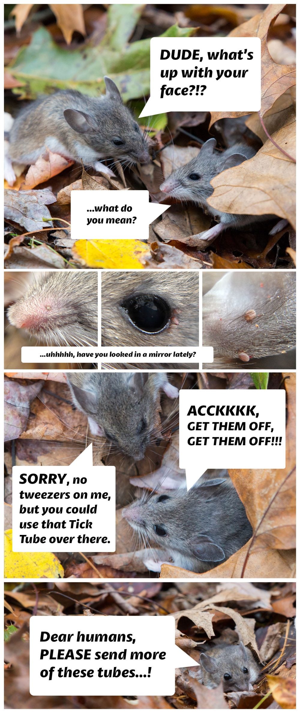 Mouse-targeted devices – TickEncounter