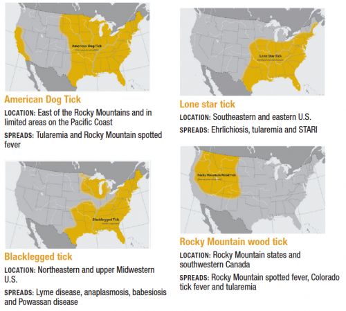 New National Pest Alert focuses on Ticks and Tickborne Diseases ...