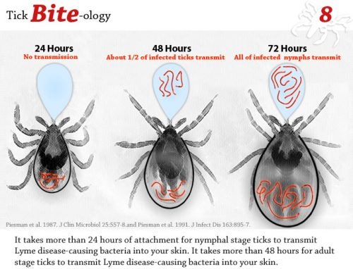 Tick Bite-ology – TickEncounter