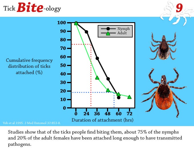 Tick Bite-ology – TickEncounter