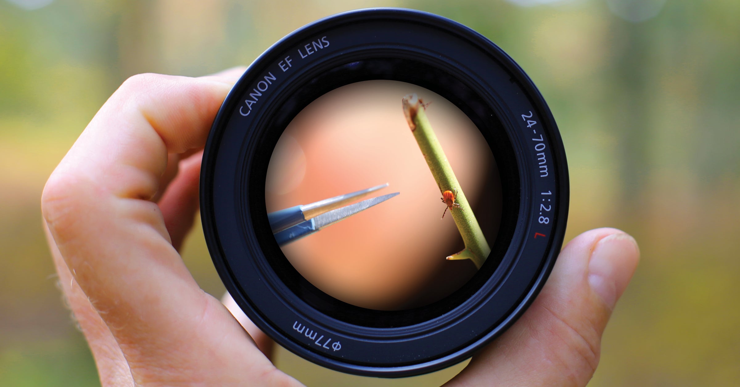 About – TickEncounter