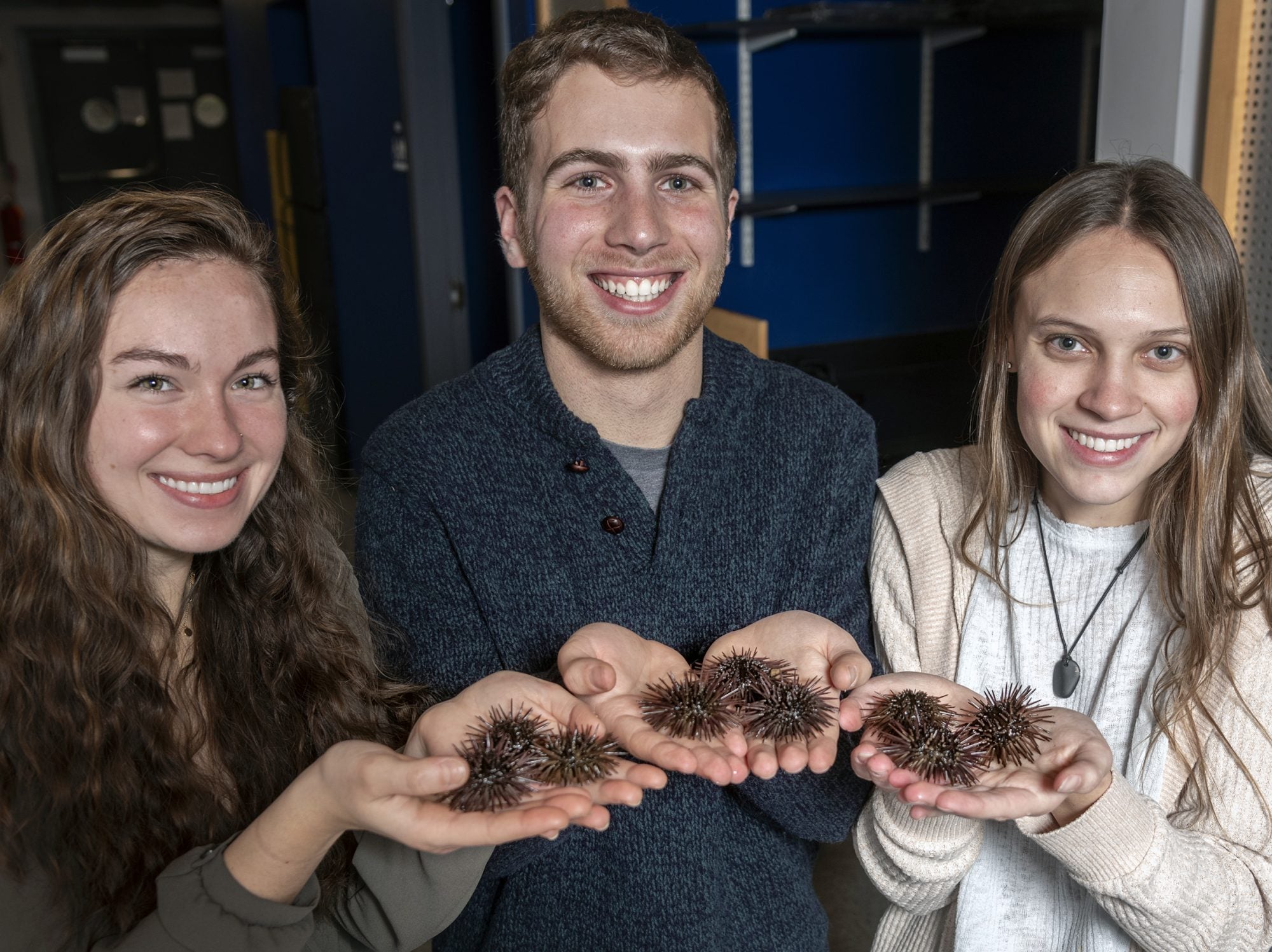 Undergraduate Research grant recipients work with faculty researcher on ...